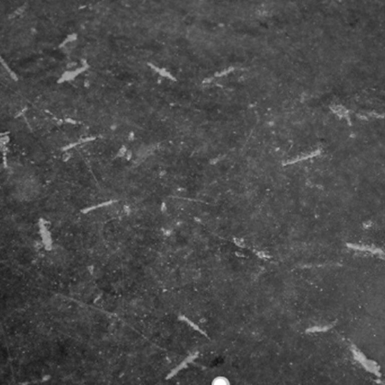 Fiber Reinforced Concrete (SFRC) Polishing - Applied Flooring